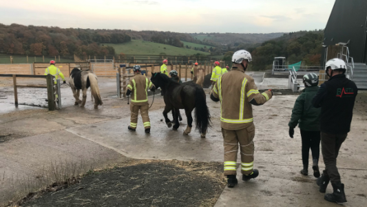 BARTA Large Animal Rescue Team Leader 1/25 (4 Day) - BARTA