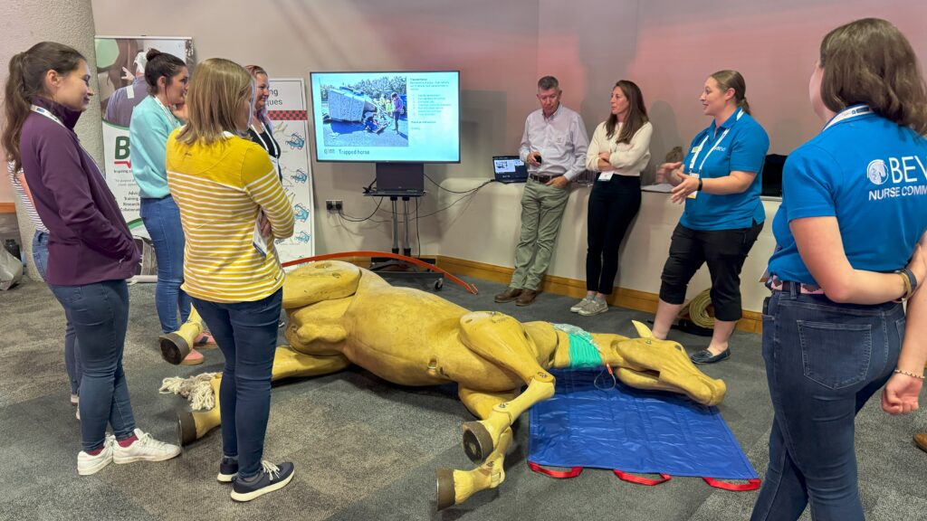 British Equine Veterinary Association (BEVA) Congress 2025 - BARTA